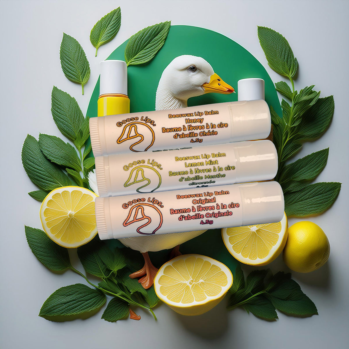 Goose Lips Pure Comfort 3 Pack – GooseLips