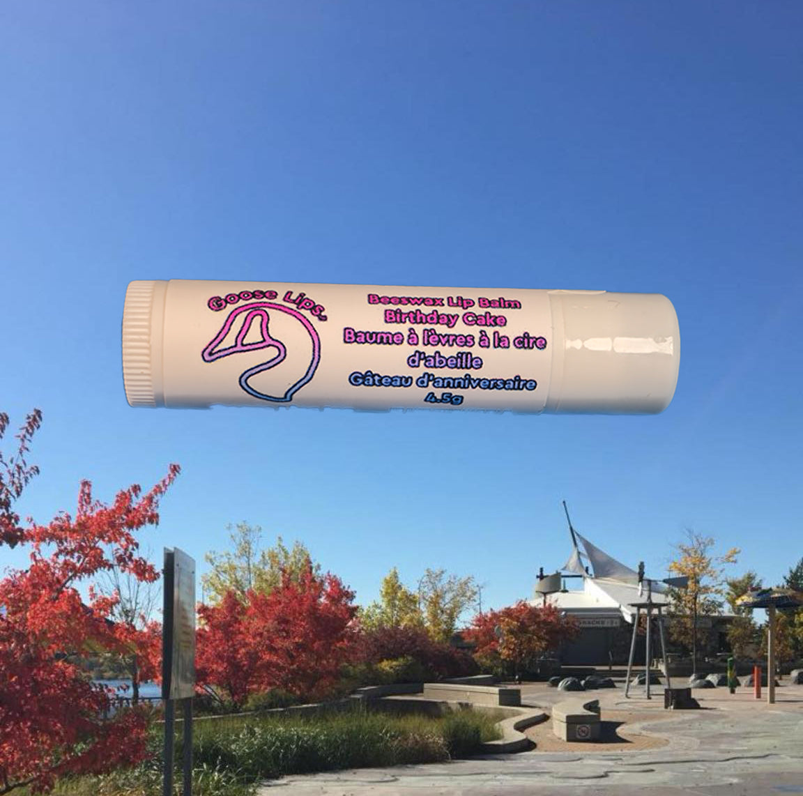 All 20 Flavors! – GooseLips